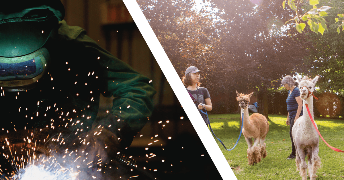 Economic Development and Tourism | Middlesex County